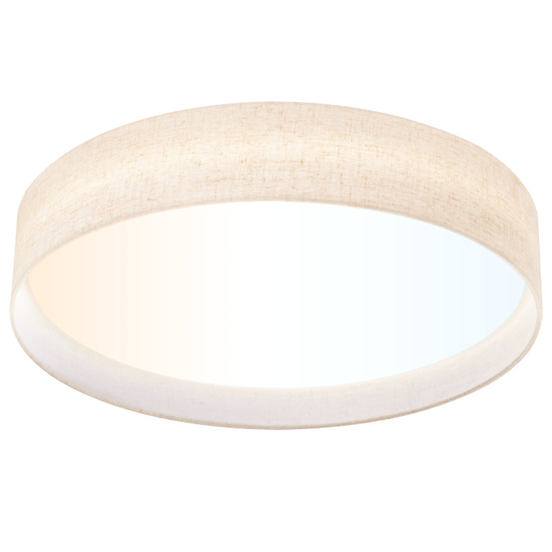 Wrought Studio™ Ledja 20 inch Flush Mount Ceiling Light Dimmable ...