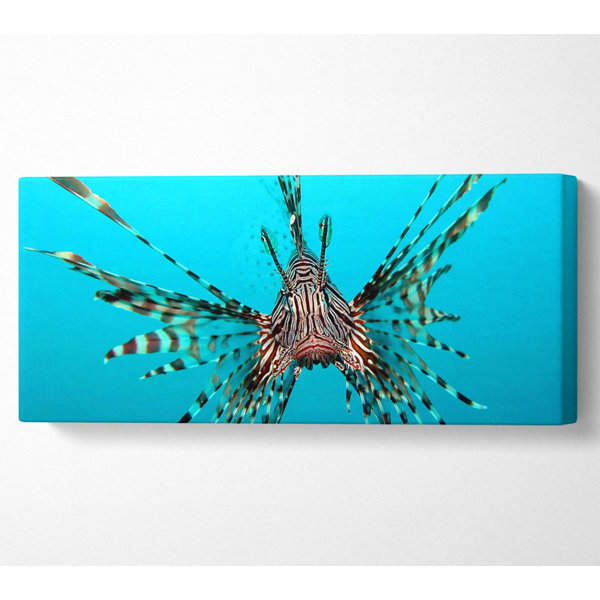Highland Dunes Red Lionfish - Wrapped Canvas Art Prints | Wayfair.co.uk