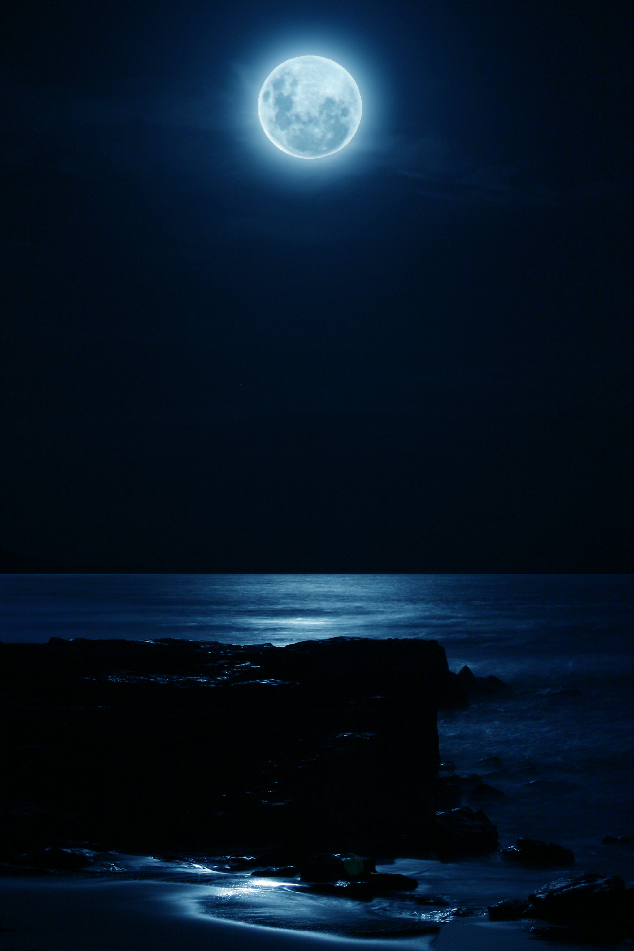 Ebern Designs Full Moon - Wrapped Canvas Photograph | Wayfair