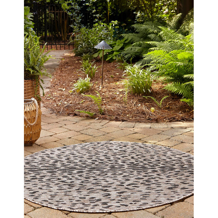 Langley Street Ivery Outdoor Area Rug & Reviews | Wayfair