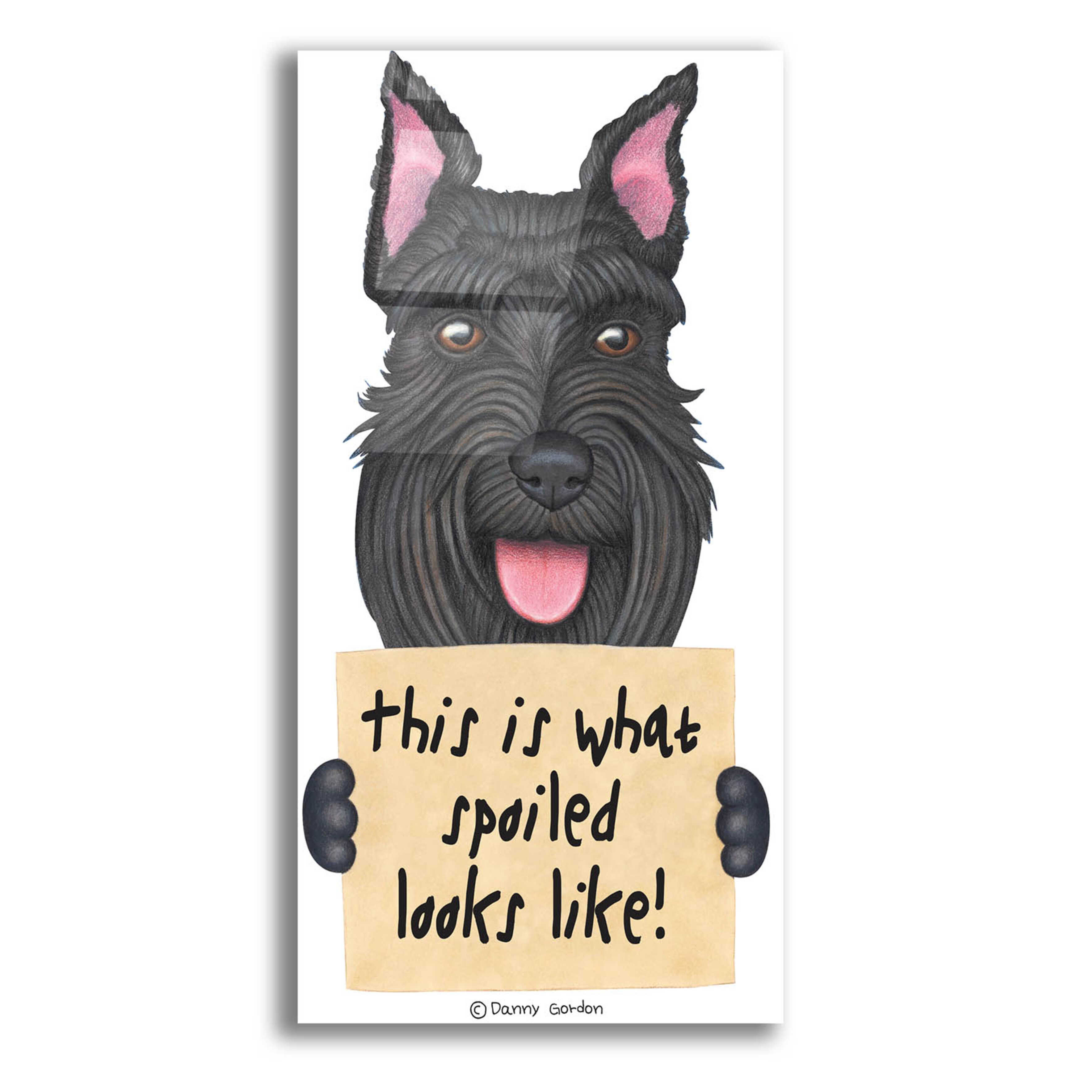 Trinx Black Schnauzer Cropped Ears On Plastic/Acrylic Print | Wayfair