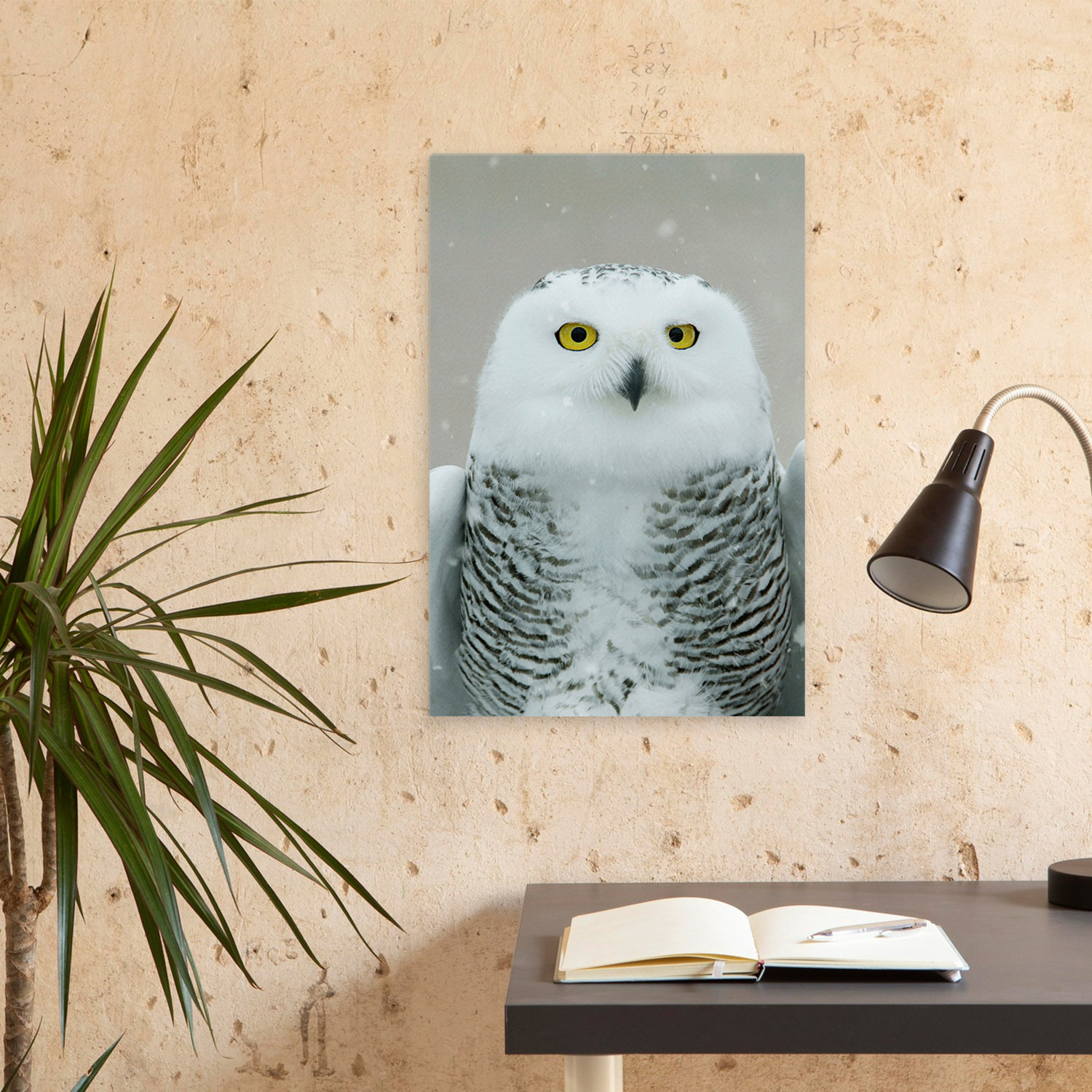 Union Rustic Snowy Owl Eyes - Photography Animals Wildlife Owls Art ...