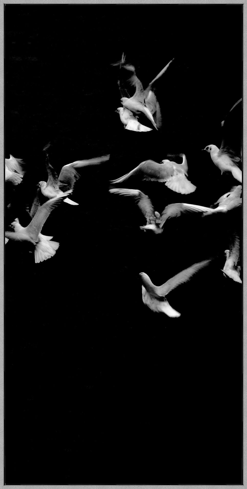 Wendover Art Group Fly Together 3 by Thom Filicia - Floater Frame ...