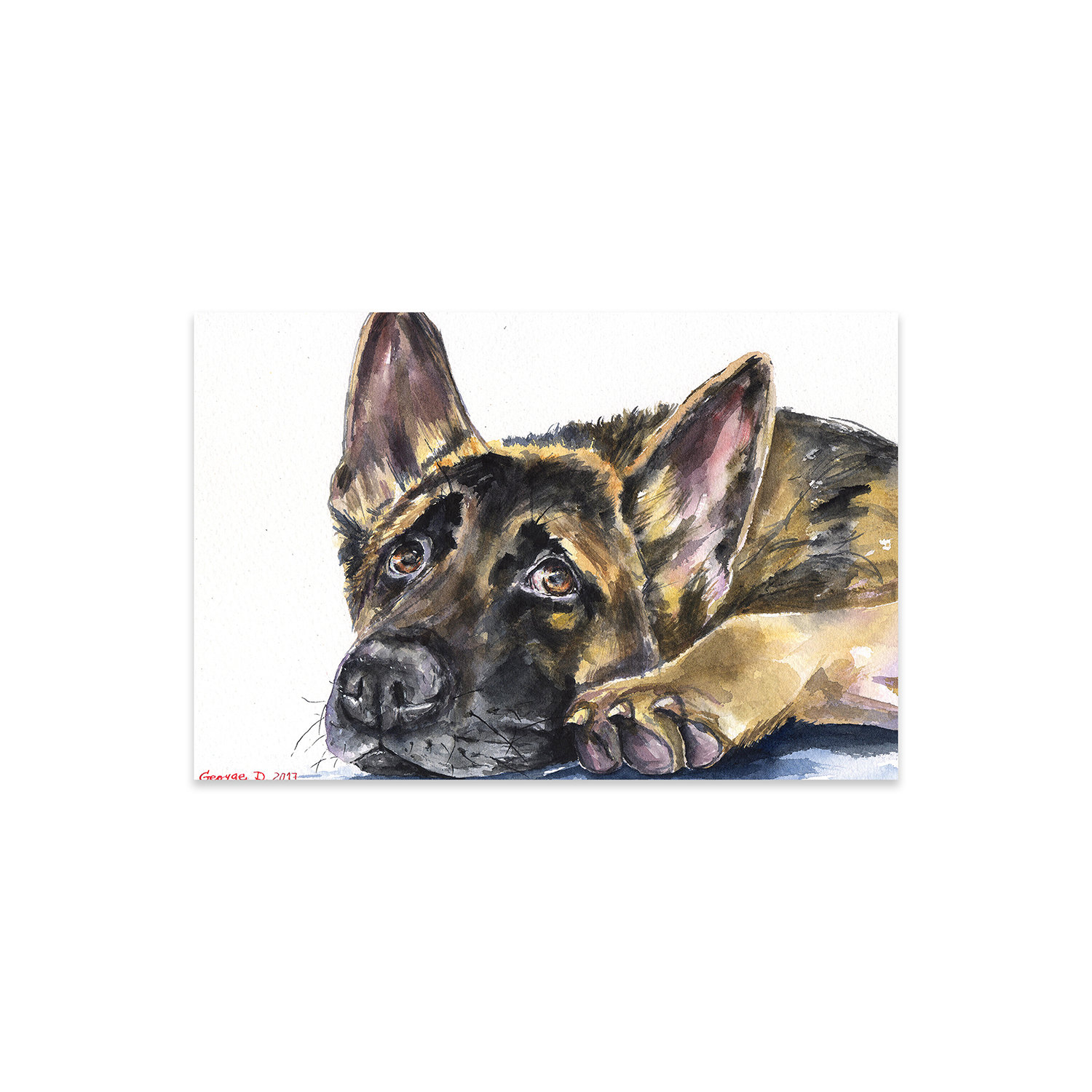 Red Barrel Studio® German Shepherd by George Dyachenko - Unframed ...