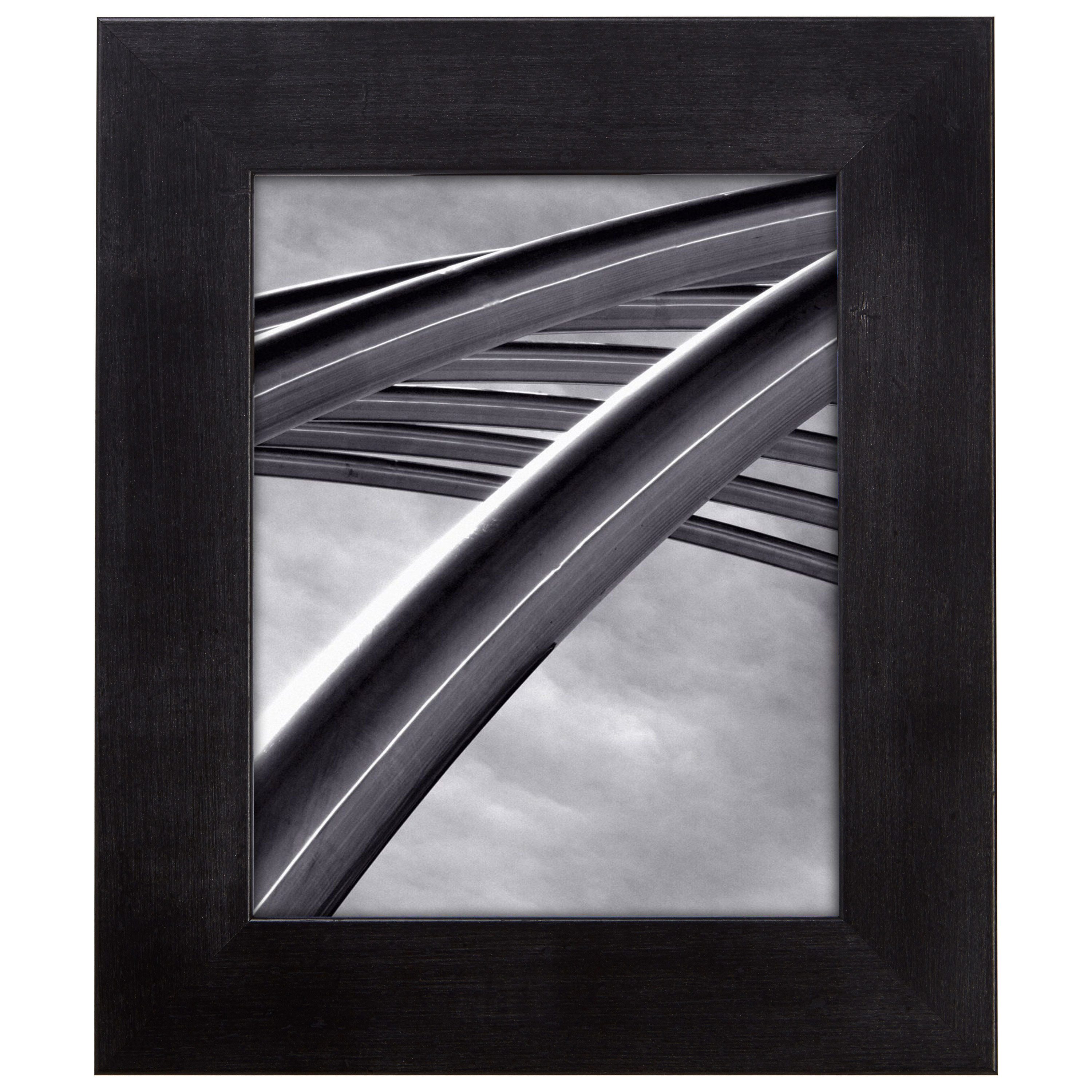 Wrought Studio Picture Frame & Reviews | Wayfair