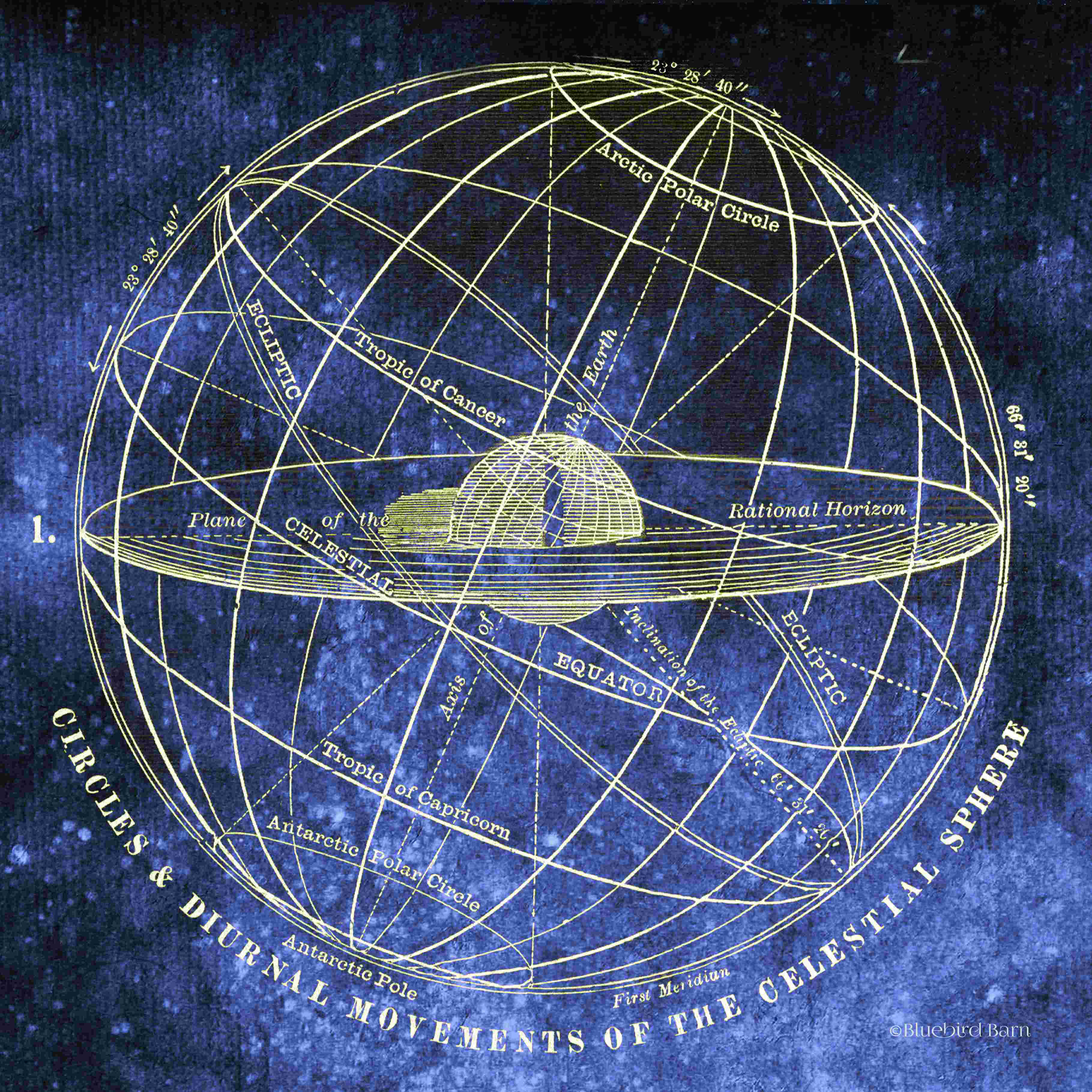 17 Stories Vintage Celestial Planets - Graphic Art | Wayfair