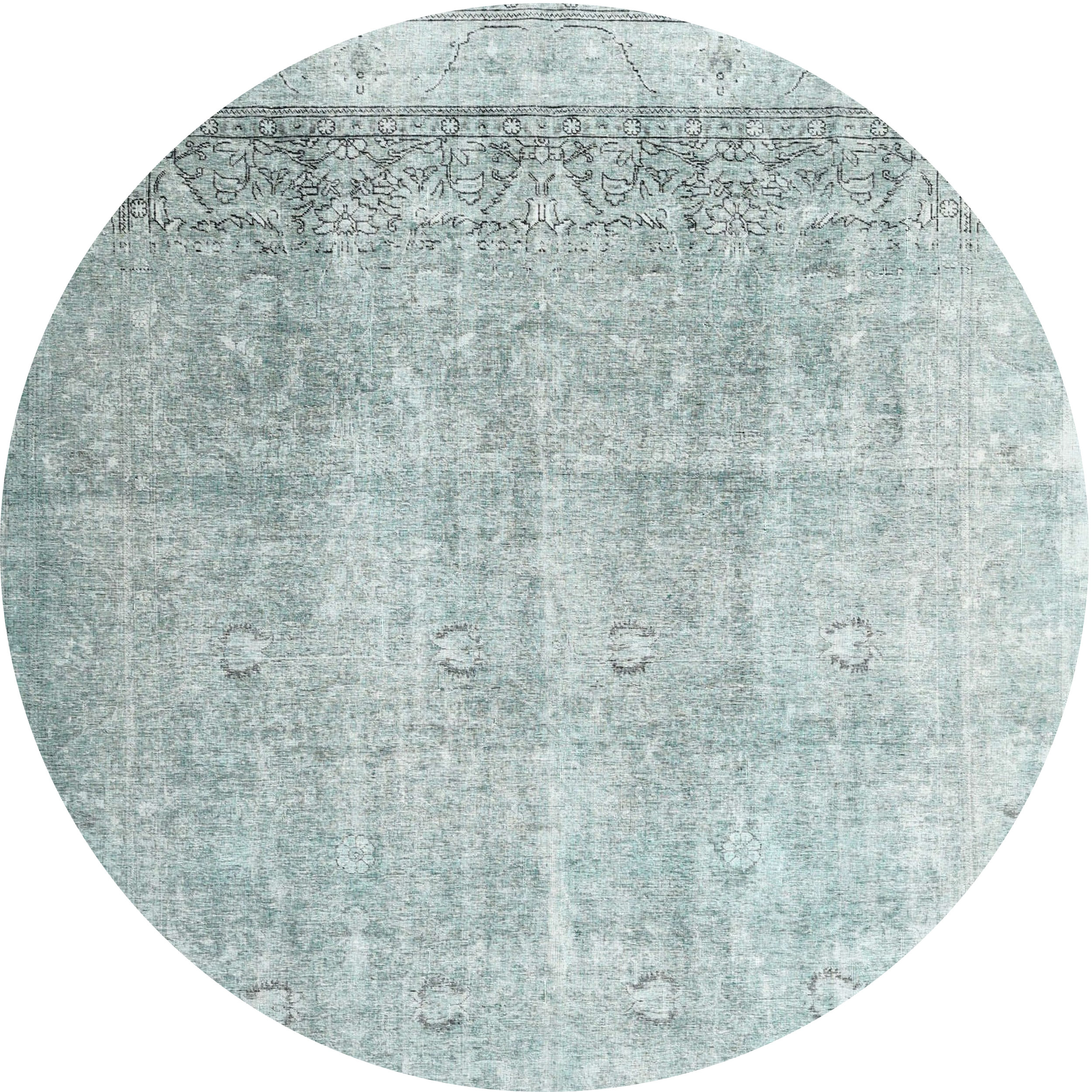 Williston Forge Deering Contemporary Light Teal Area Rug | Wayfair