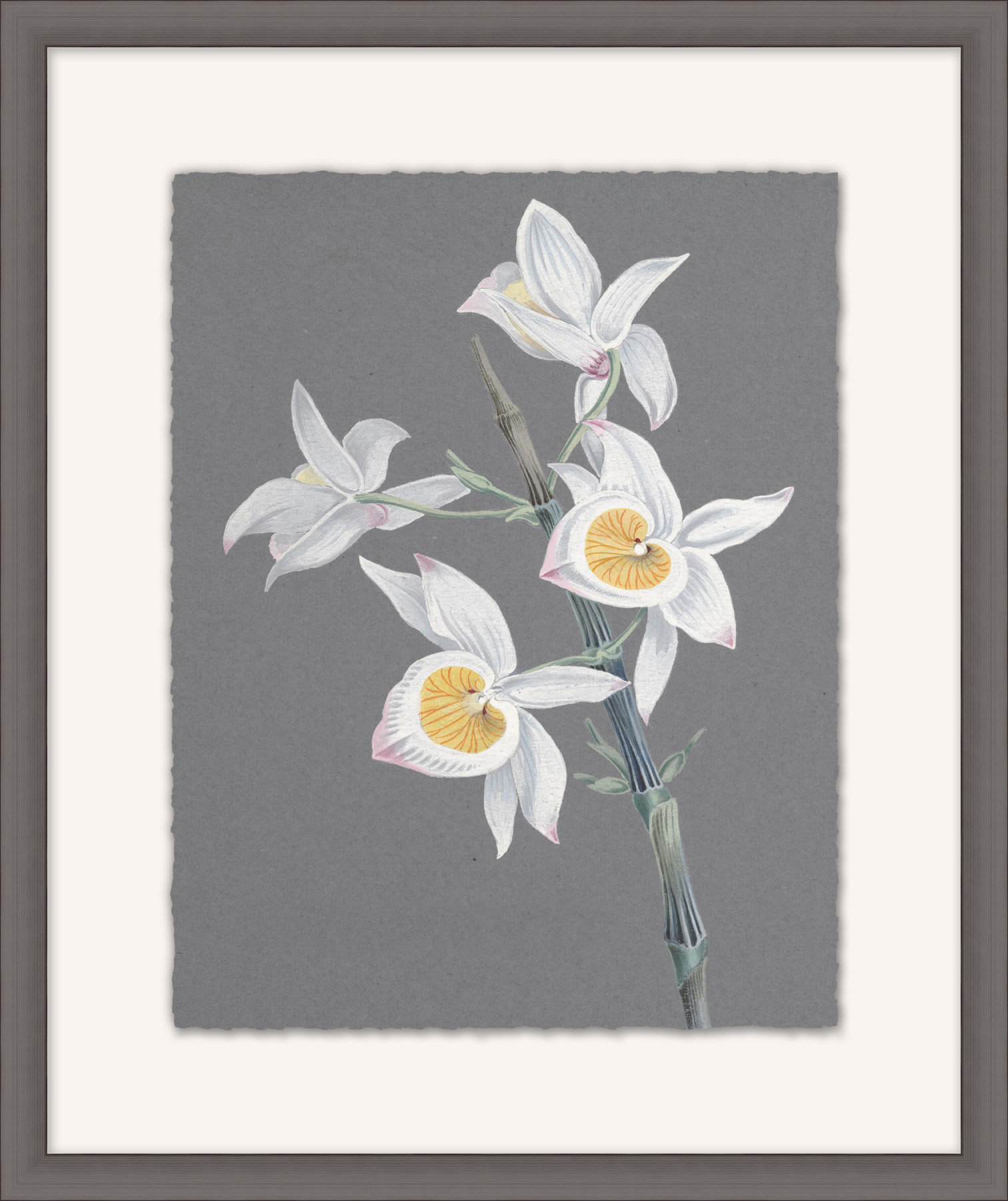 Wendover Art Group Orchid Study " Orchid Study 16 " Painting Print ...