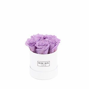 Rose Box NYC Roses Arrangement in Box & Reviews | Wayfair