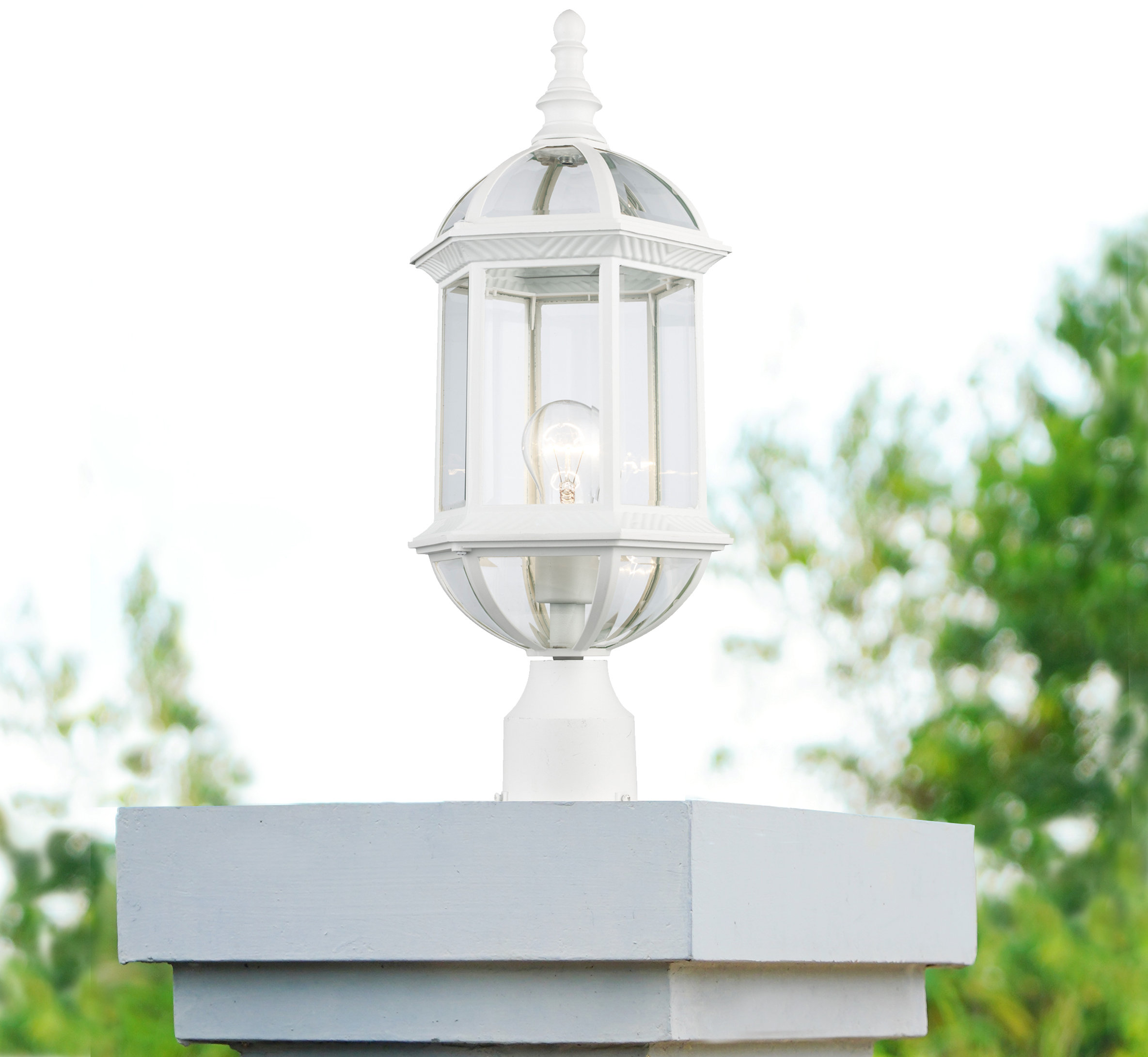 Lark Manor™ Roscoe 1-Light Lantern Head & Reviews | Wayfair