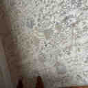 Langley Street Benfield Beige Machine Washable Area Rug & Reviews ...