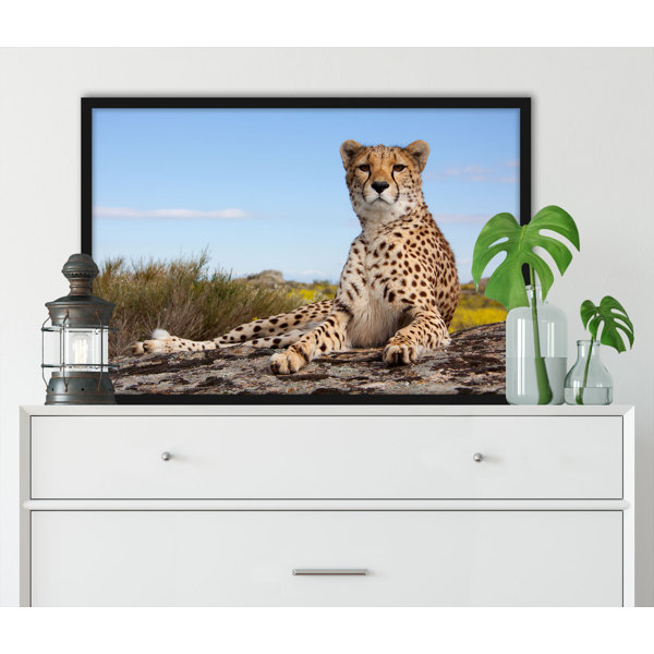 ModernMoments Gerahmtes Poster Gepard in Savanne | Wayfair.de
