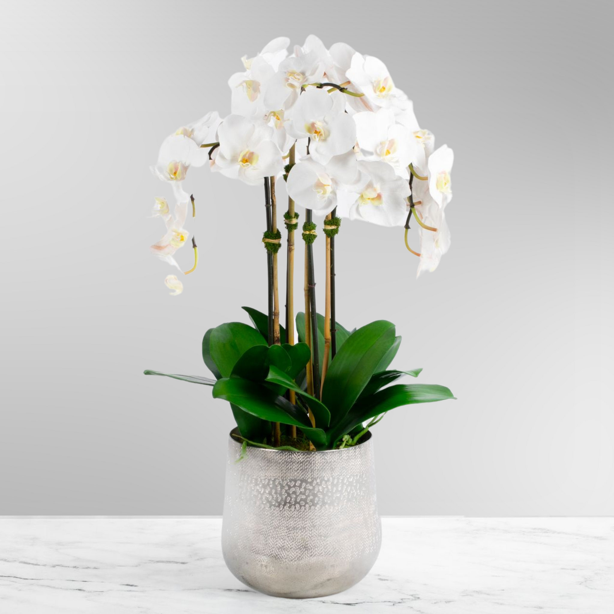 Vivian Rose Silk Orchid Arrangement in Vase | Perigold