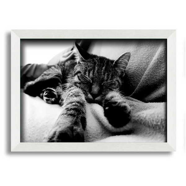 Latitude Run Badilla Sweet Dreams BNW - Single Picture Frame Print ...