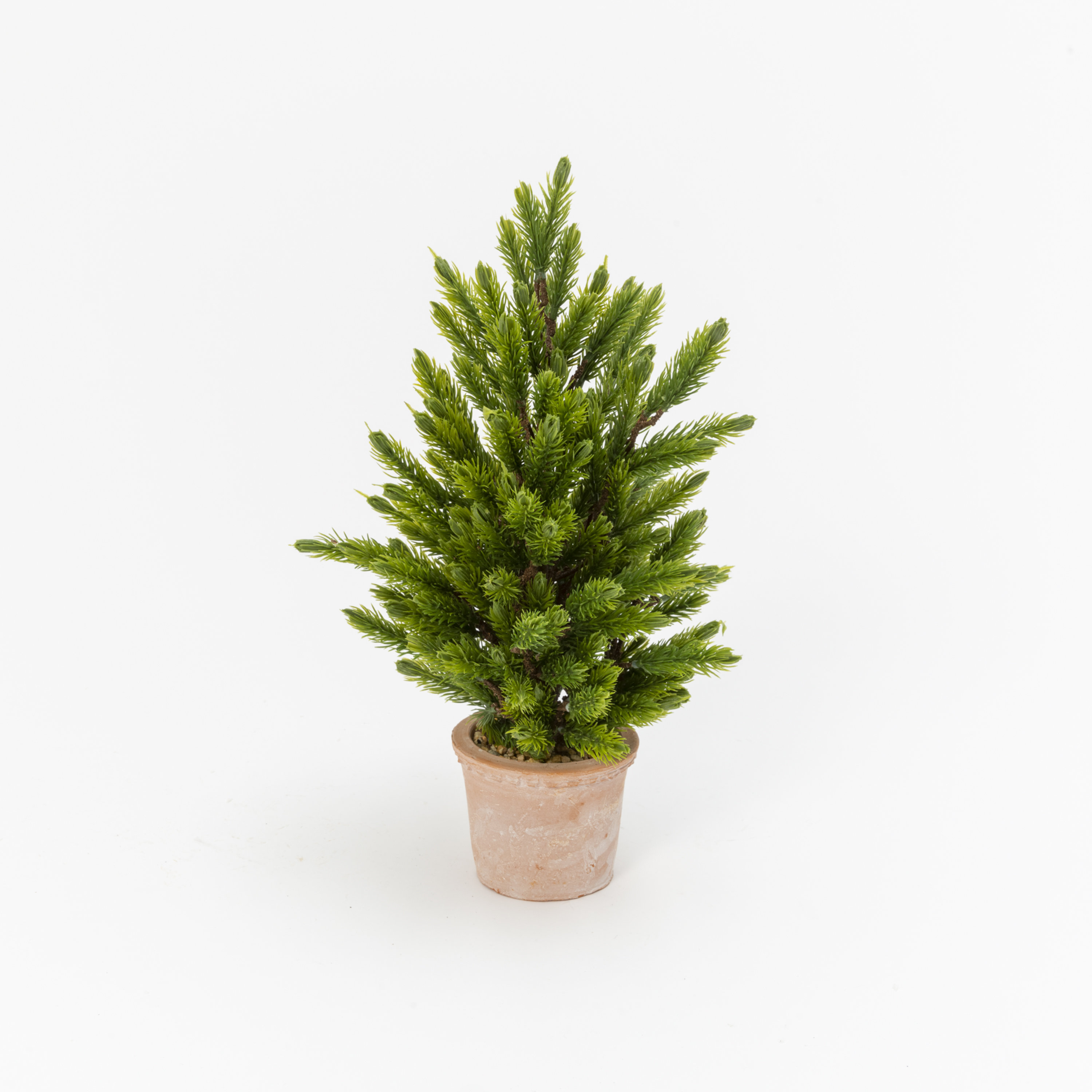 Ophelia & Co. Rustic 17 Inch Pine Tree In Argil Pot For Holiday Decor ...