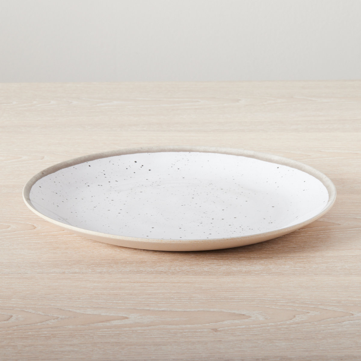RE/FINE™ Laya Speckled Melamine Dinner Plate & Reviews | Wayfair