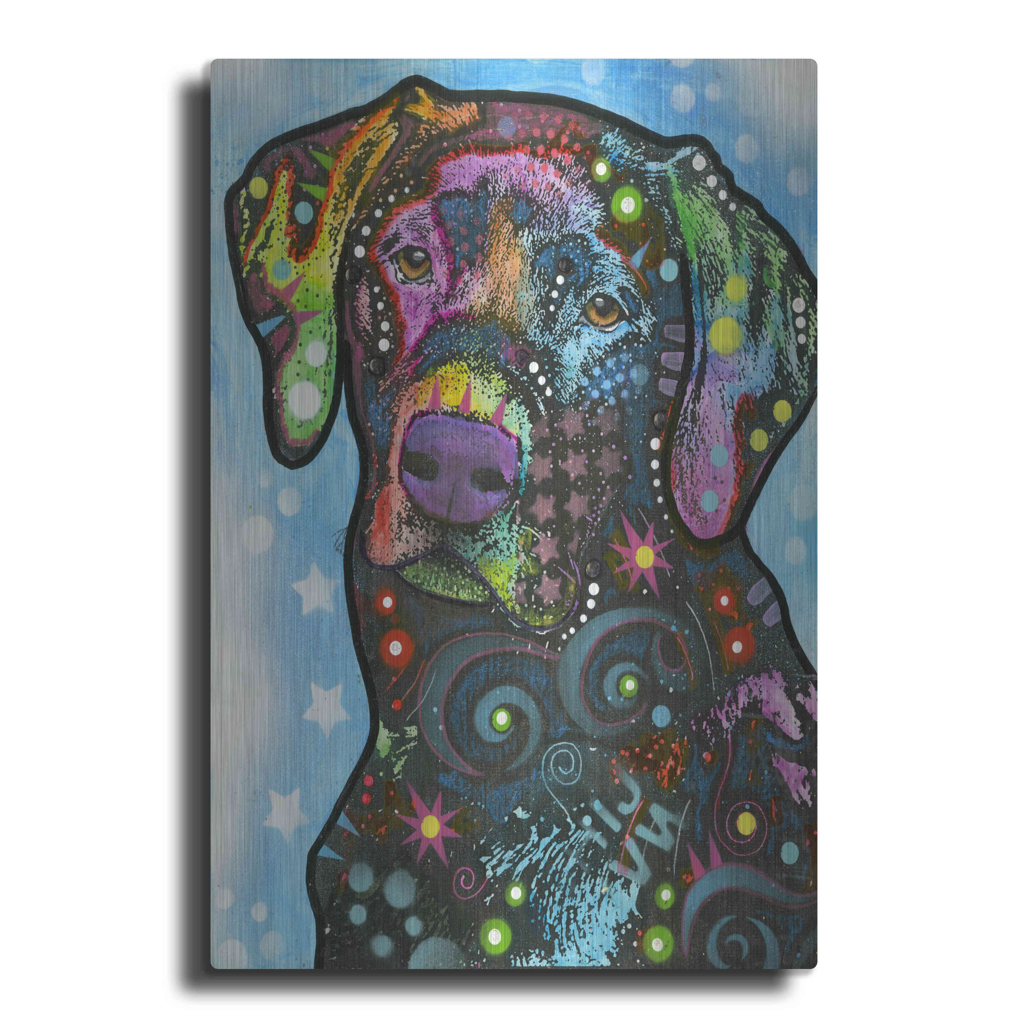 Trinx Blue Lab by Dean Russo - Unframed Graphic Art on Metal | Wayfair