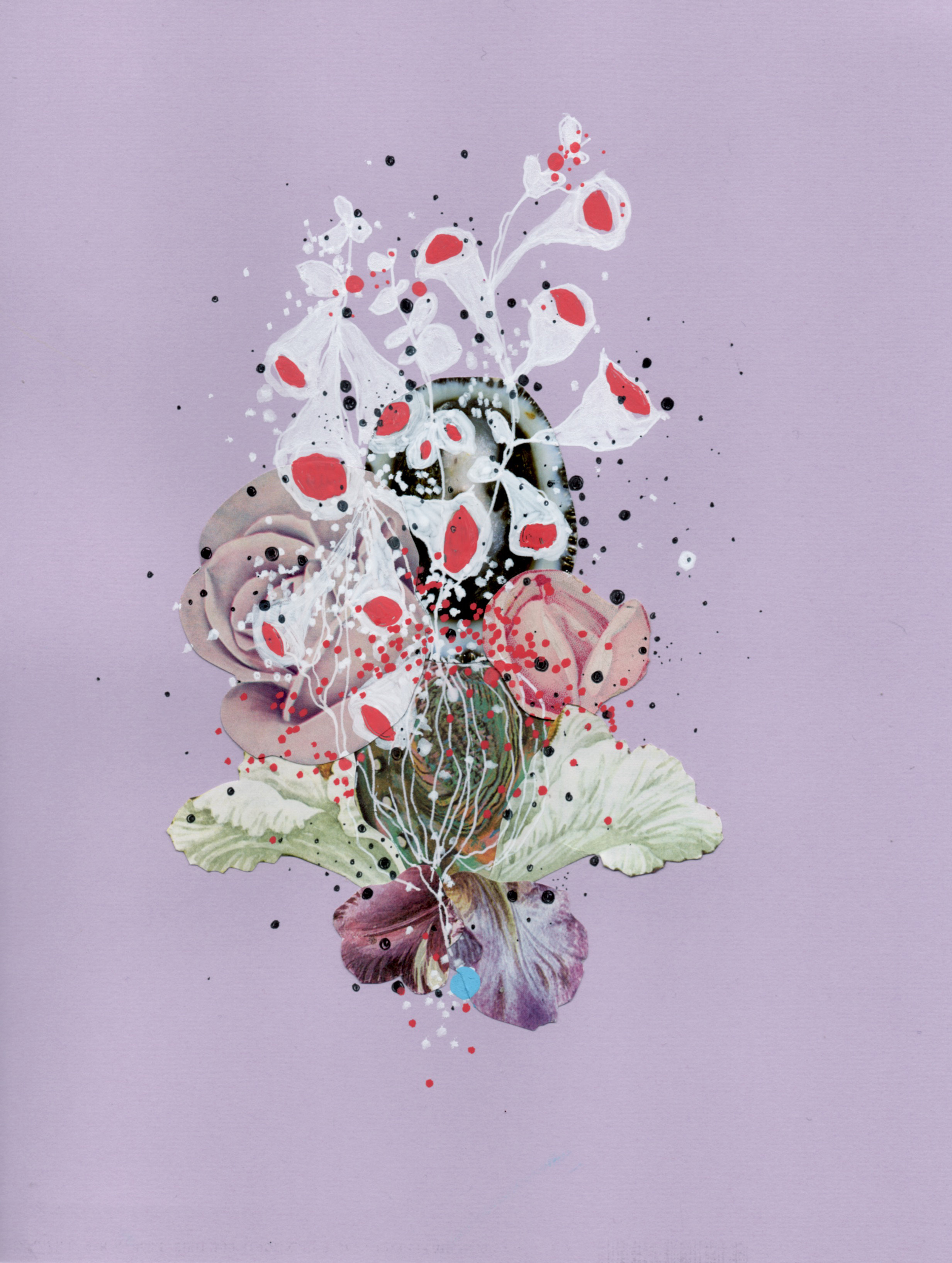 Made & Curated Sea Lace By Jenny Brown | Perigold