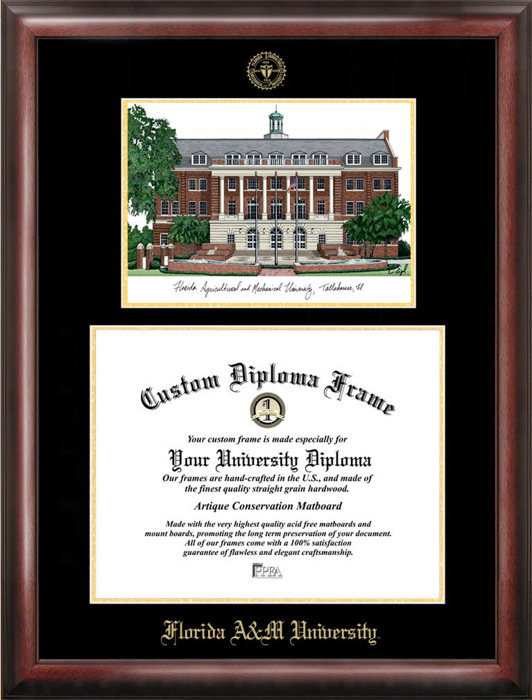 Campus Images NCAA Florida A&M University Gold Embossed Diploma with ...