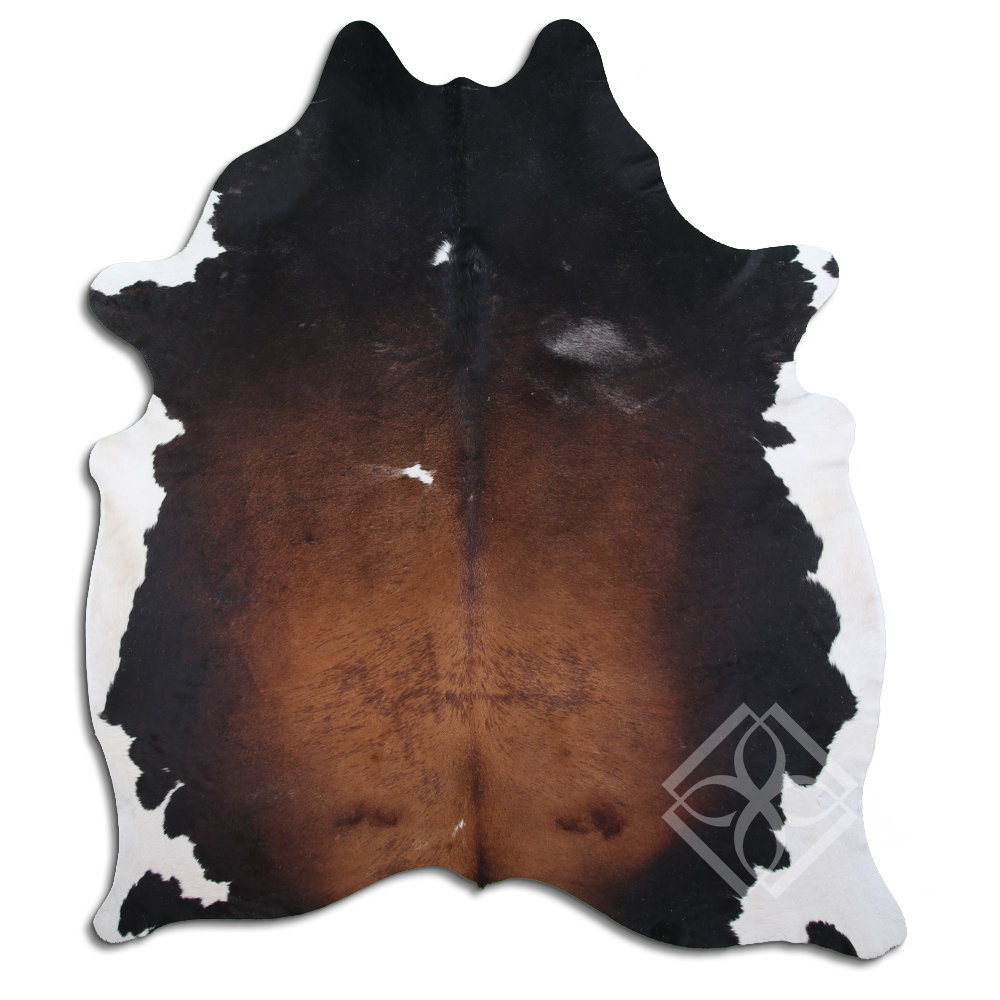 Loon Peak Tornasol Natural Hair Handmade Cowhide Brown Area Rug ...