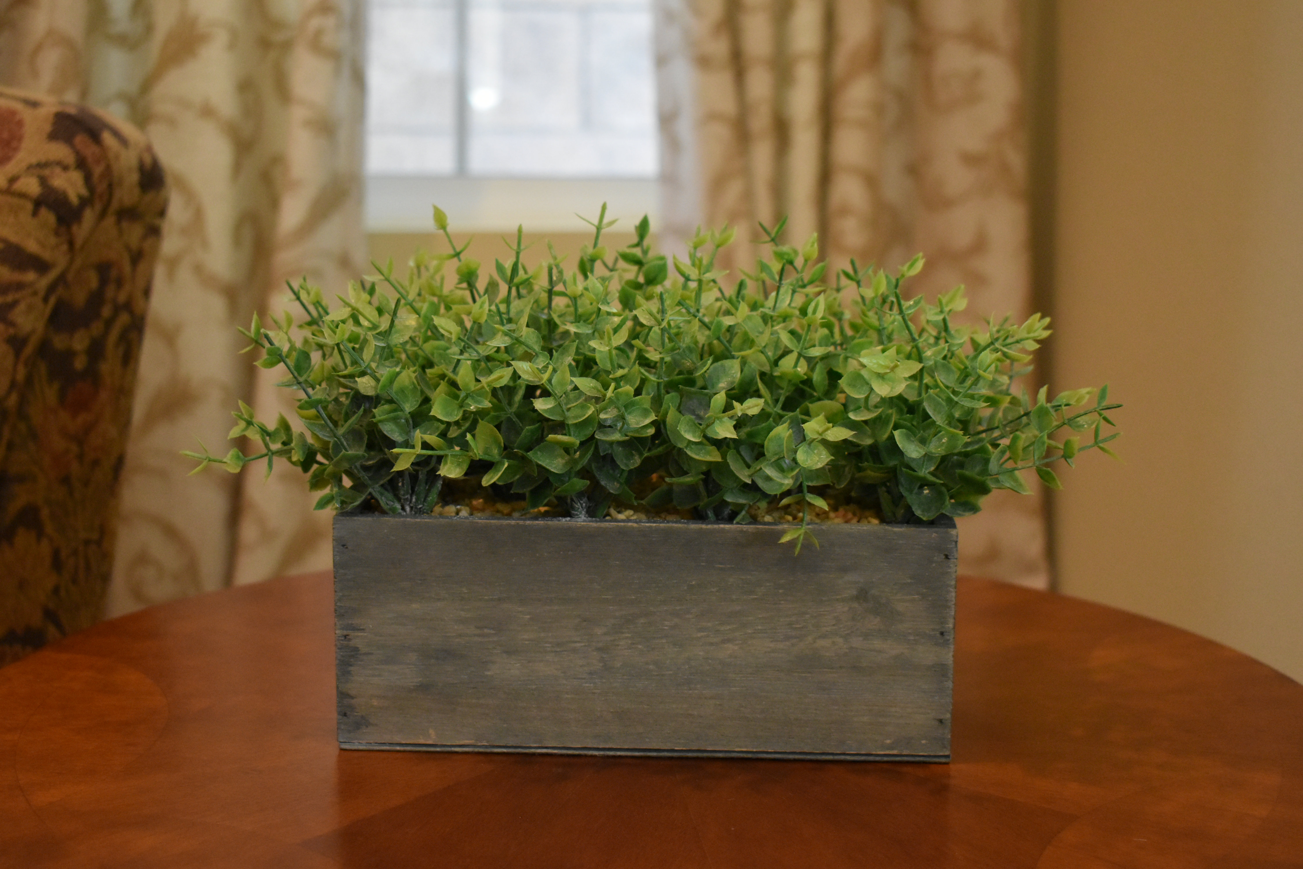 Primrue 7" Boxwood In Rustic Wooden Box Centerpiece | Wayfair