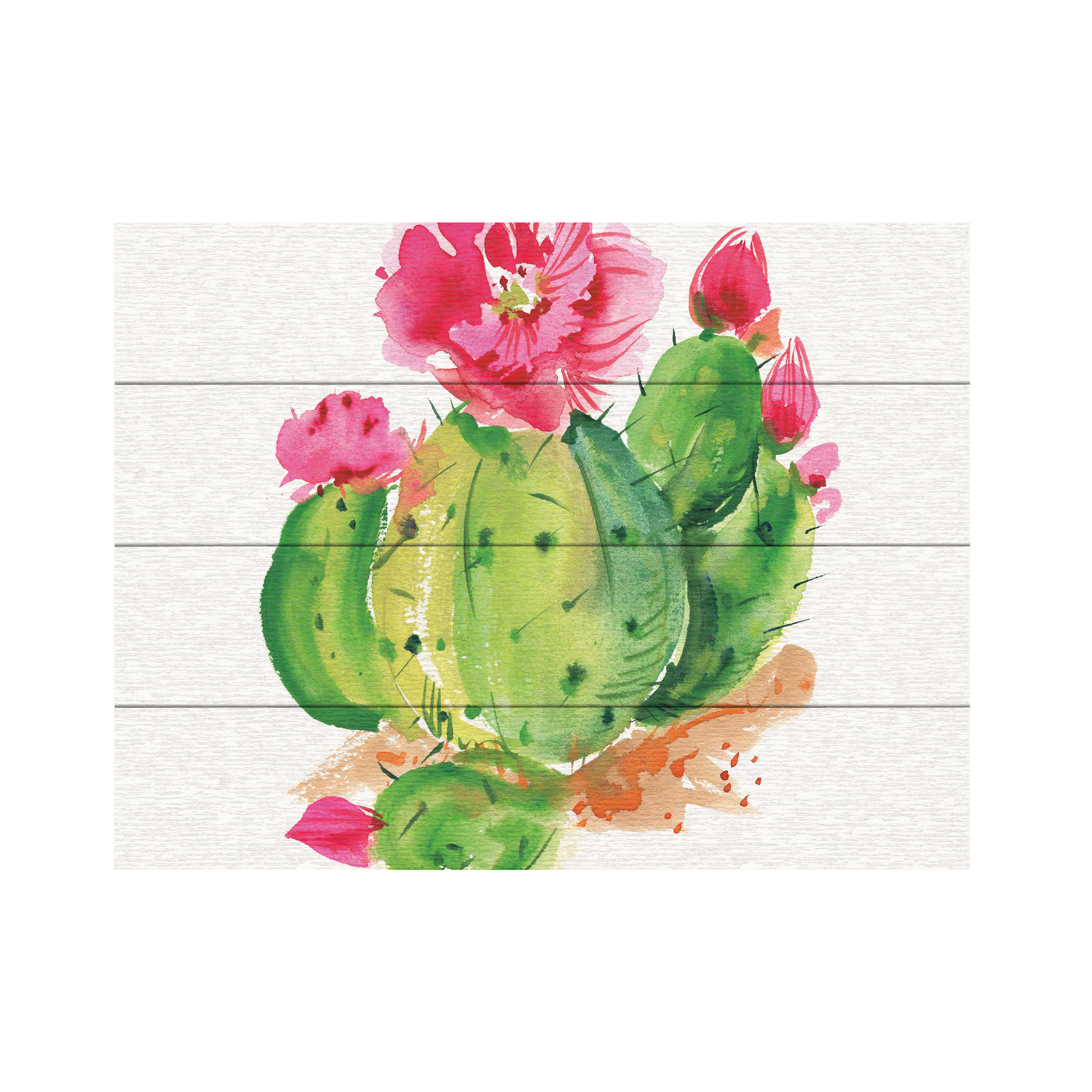 Winston Porter Kristy Rice Desert Echinopsis Wood Slat Art - Wayfair Canada