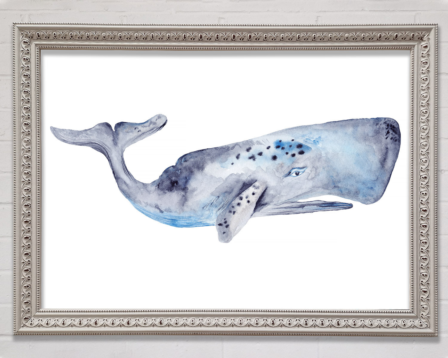 Bright Star Whale - Single Picture Frame Art Prints | Wayfair.co.uk