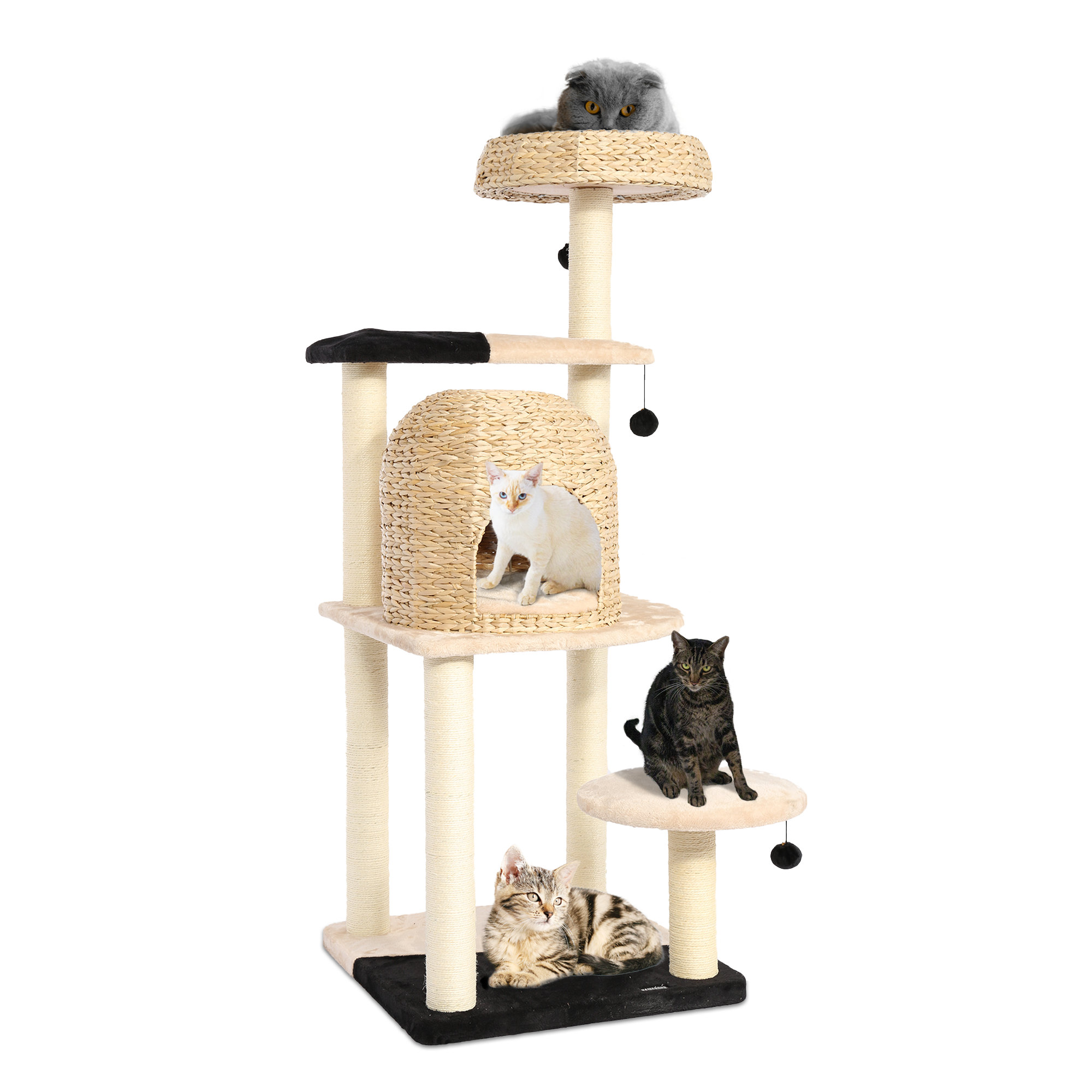 Tucker Murphy Pet™ Cute Cat Tree for Indoor Cats | Wayfair