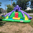 JumpOrange Octopus Water Slide with Splash Zone and Dual Slides for ...