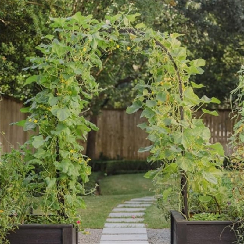 Plant Trellis 2.4m Heavy Duty Metal Garden Arch - Black Galvanized ...