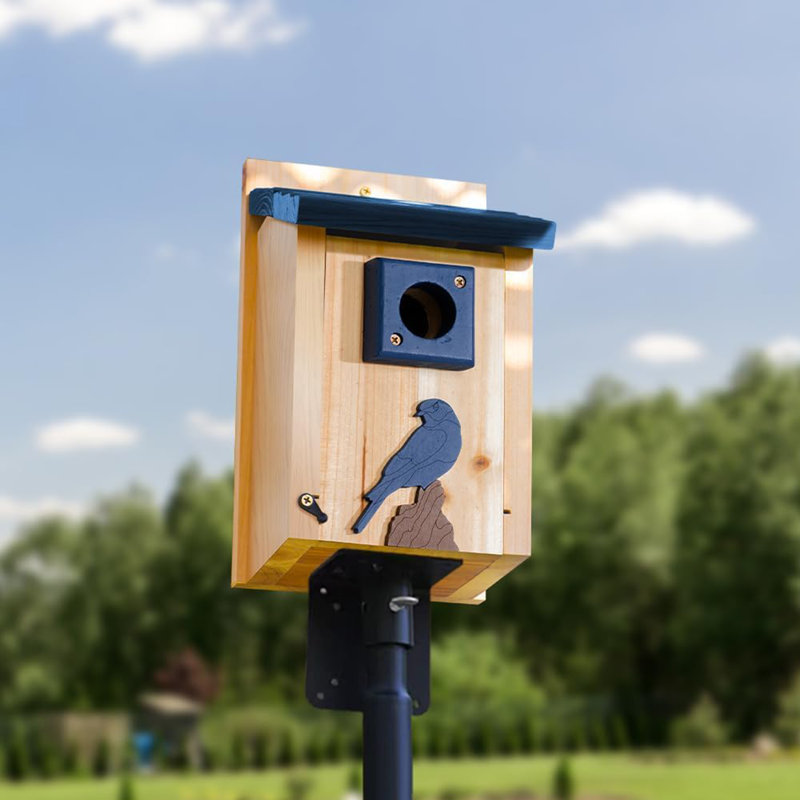 August Grove® 2Pc Bluebird Houses Nesting Box - XL Size 13" Heavy Duty ...