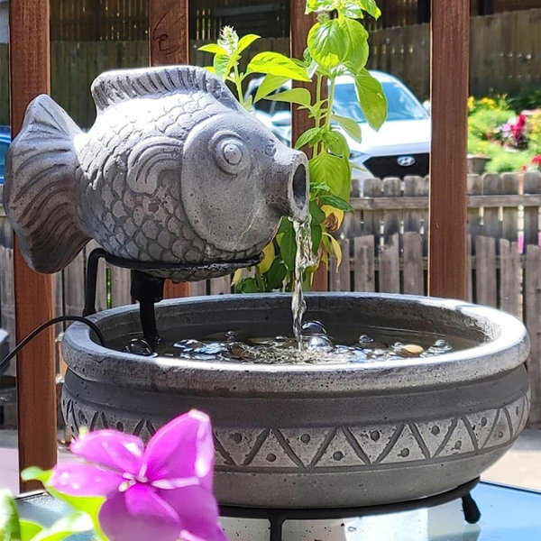 Highland Dunes Elegant Cement Fish Solar-Powered Fountain with 10 ...