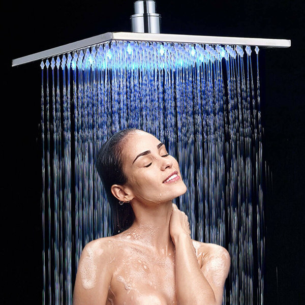High Tech Shower Head | Wayfair.co.uk
