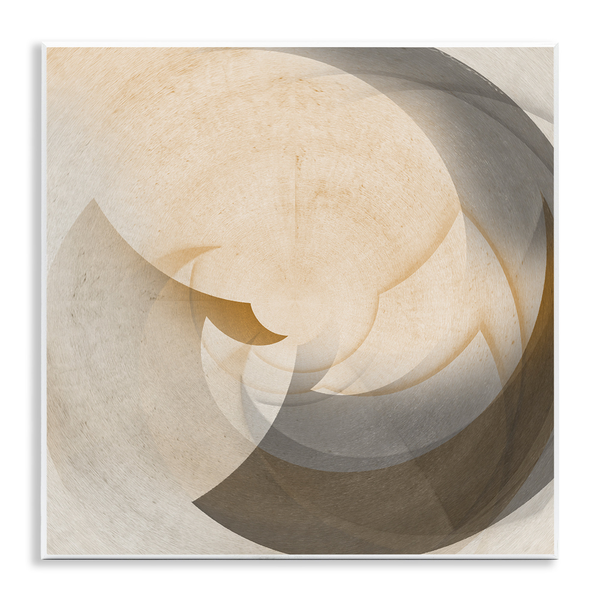 Ebern Designs Shadowed Form Curve Wall Plaque Art by Noah Bay | Wayfair