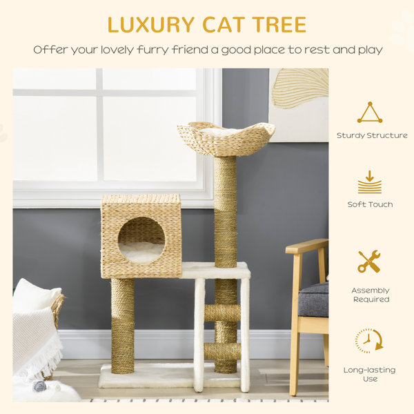 Archie & Oscar™ Indoor Cat Tree And Condo With Cushions & Reviews | Wayfair