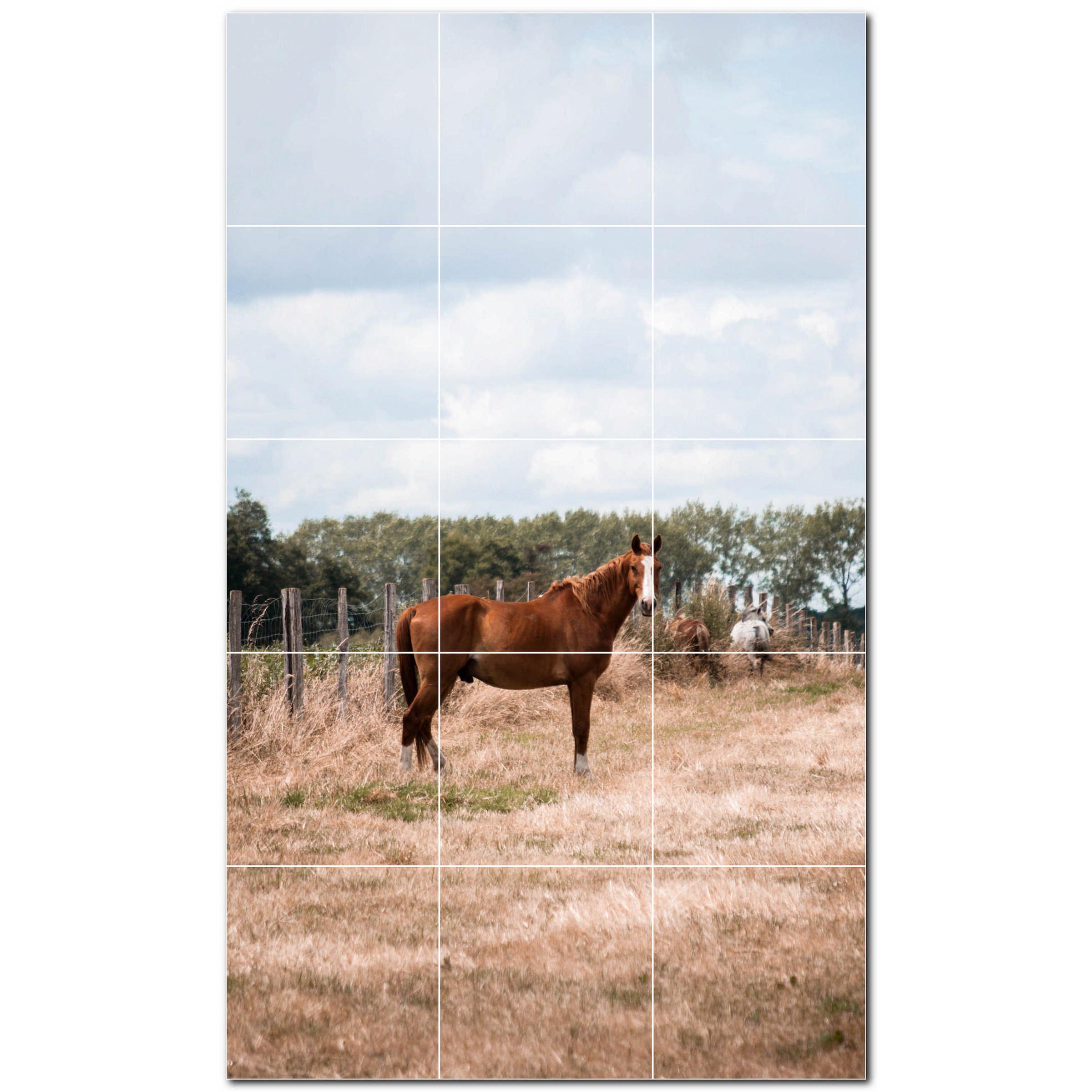 Picture-Tiles.com 48" x 60" Ceramic Farm Photo Decorative Mural Tile ...