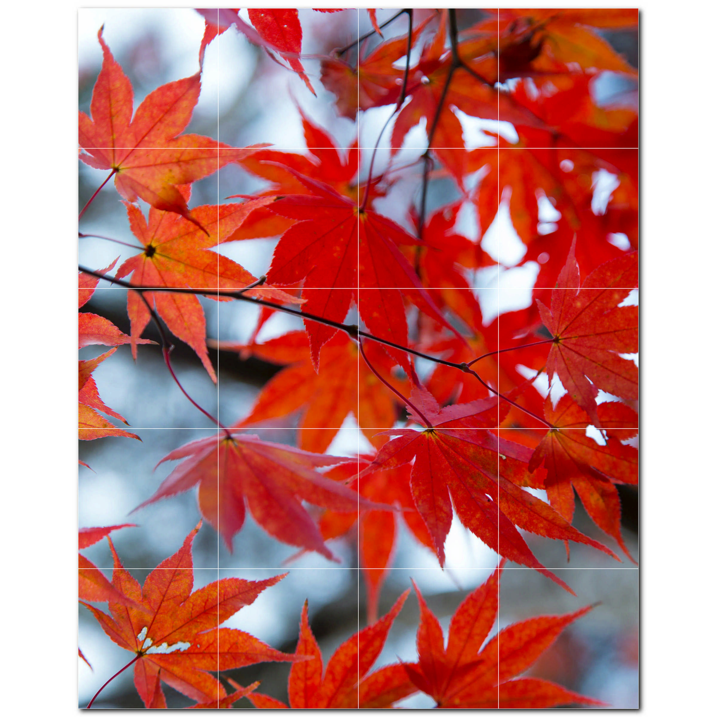 Picture-Tiles.com 32" x 40" Ceramic Autumn Photo Decorative Mural Tile ...