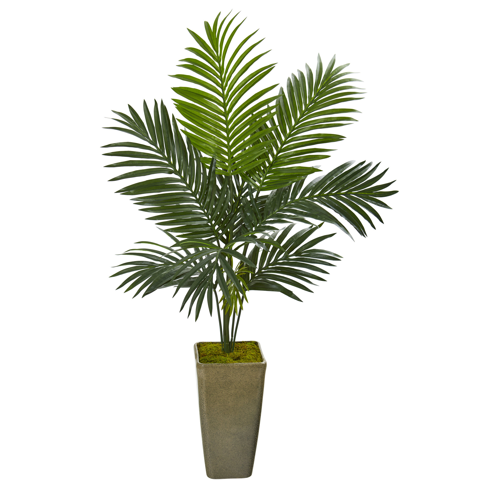Bay Isle Home™ Artificial Palm Tree in Planter | Wayfair