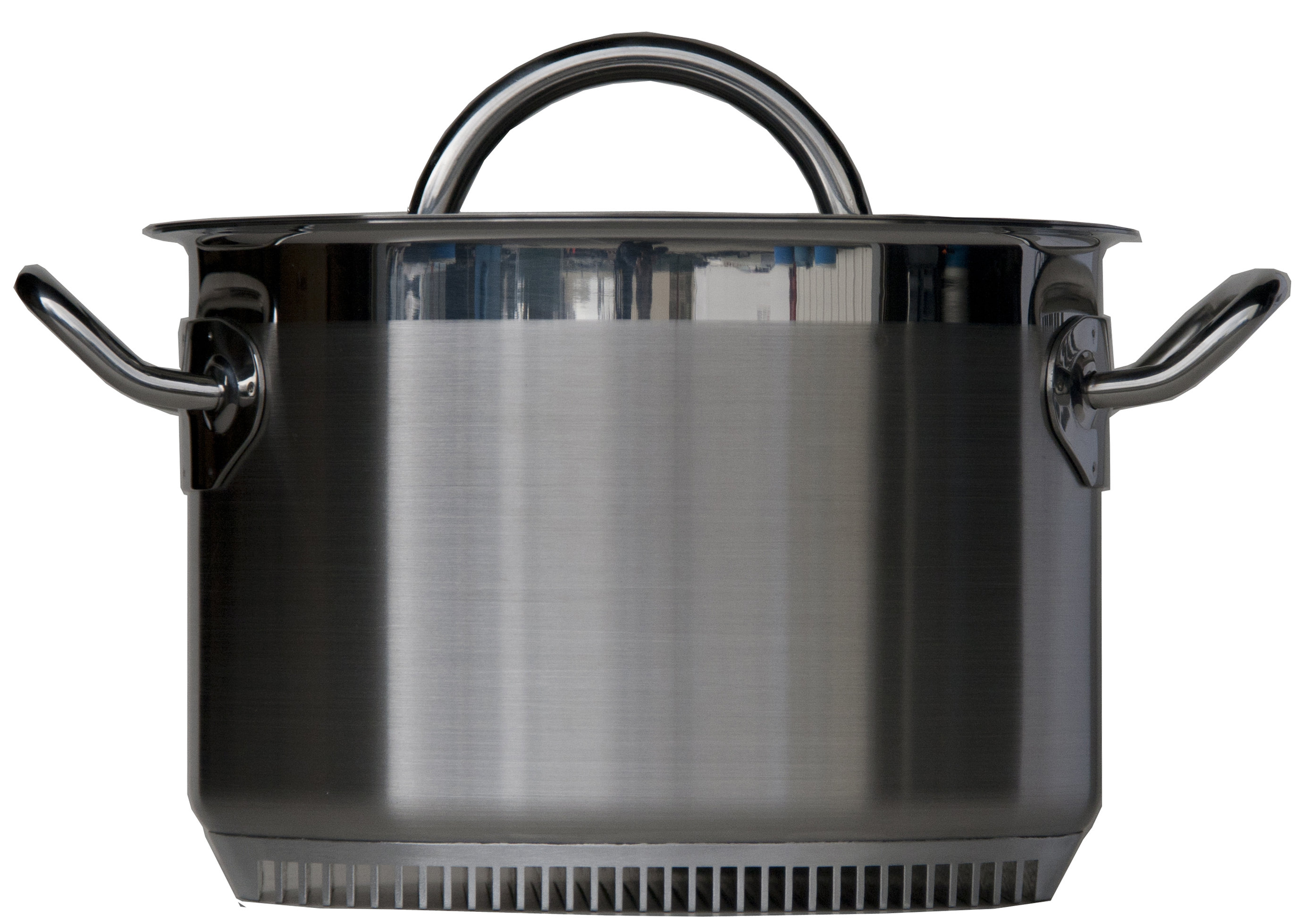 Turbo Pot Stainless Steel Standard Pot with Lid | Wayfair