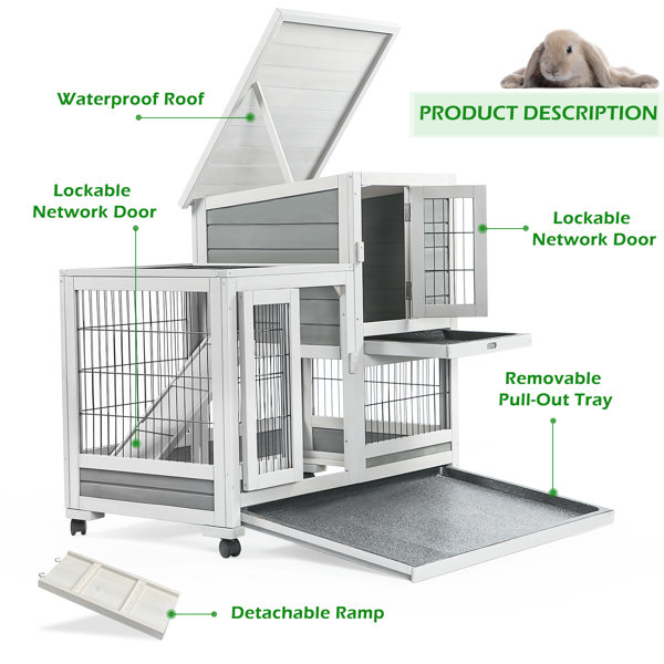 Tucker Murphy Pet™ Zakhar Rabbit Hutch with Ramp & Reviews | Wayfair
