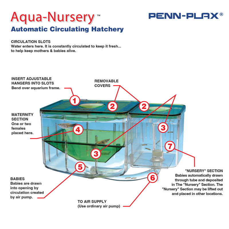 Penn Plax Aqua-Nursery and Hatchery Breeding Box For Your Aquarium ...
