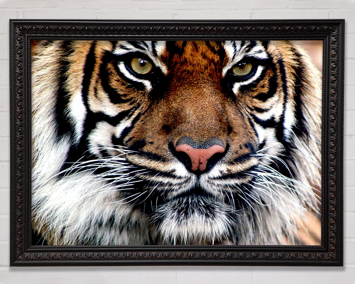 Bright Star Tiger Face - Single Picture Frame Art Prints | Wayfair.co.uk