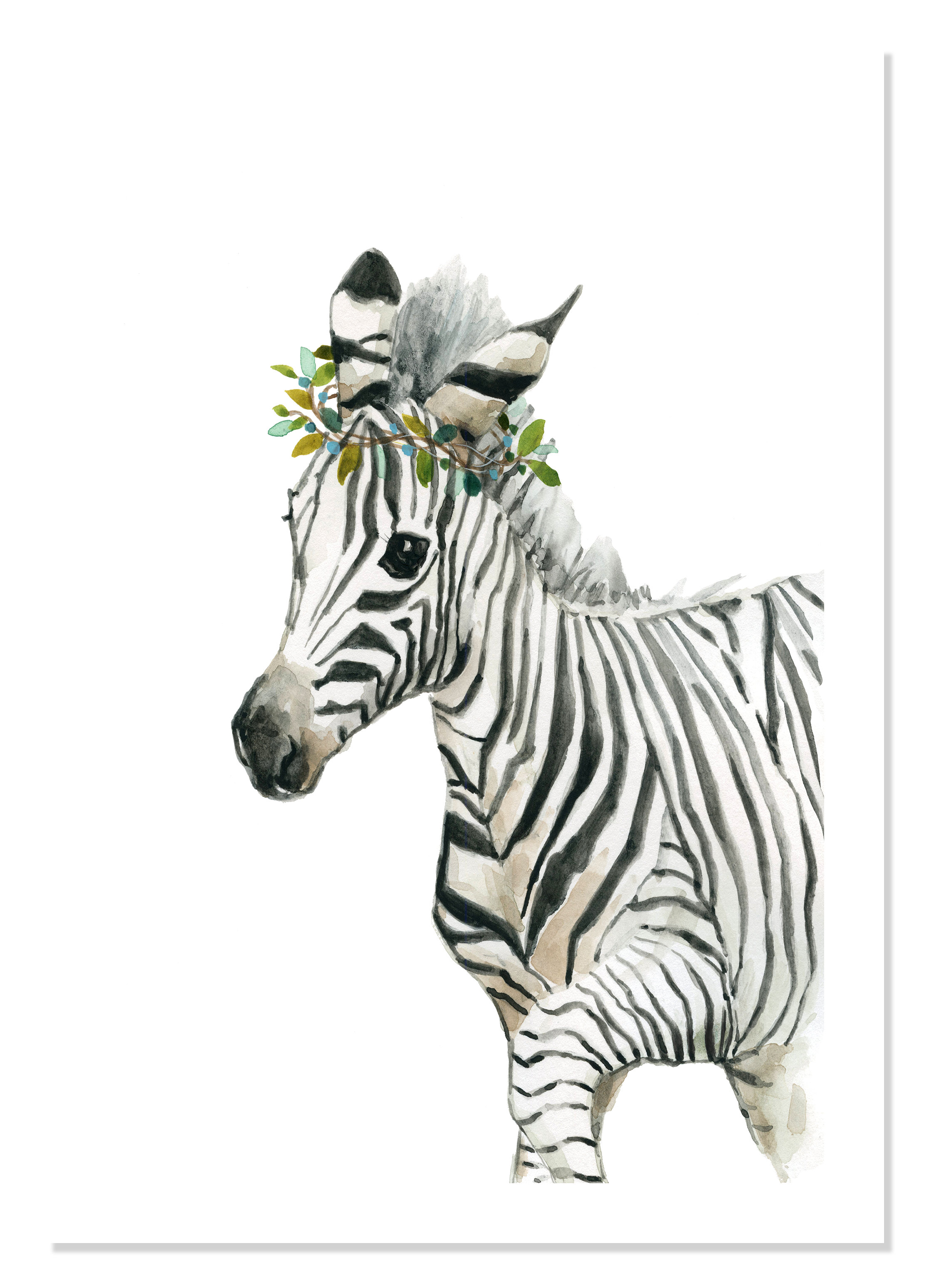 Casa Fine Arts Rolled Savannah Zebra Paper Print - Wayfair Canada