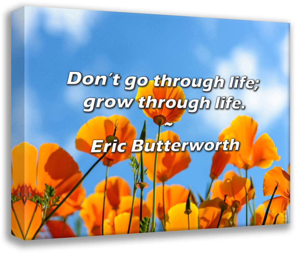 Trinx Eric Butterworth Quote: Don’t go through life; grow through life ...