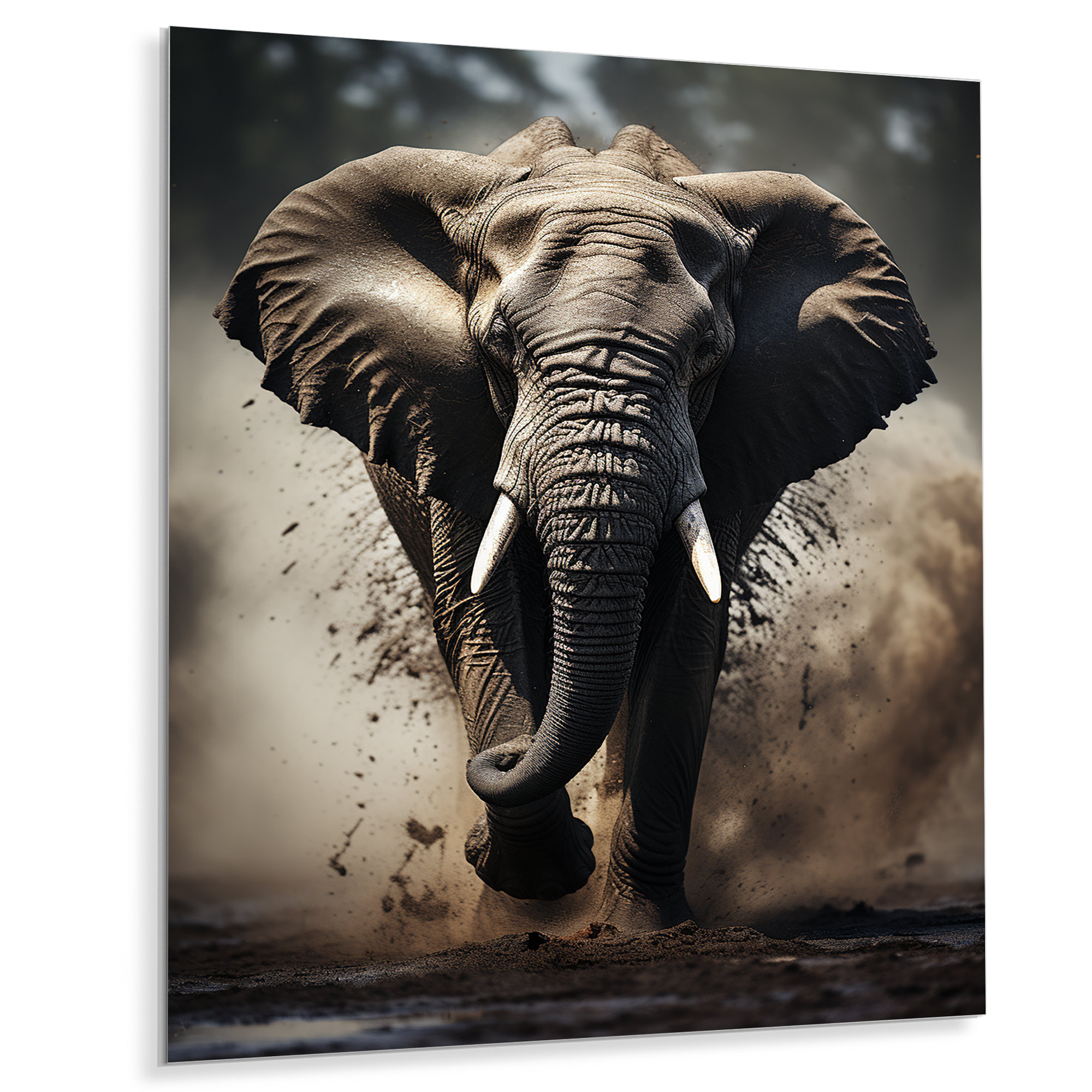 Ebern Designs Elephant Glimmers Of Grace - Animals Metal Art Print ...