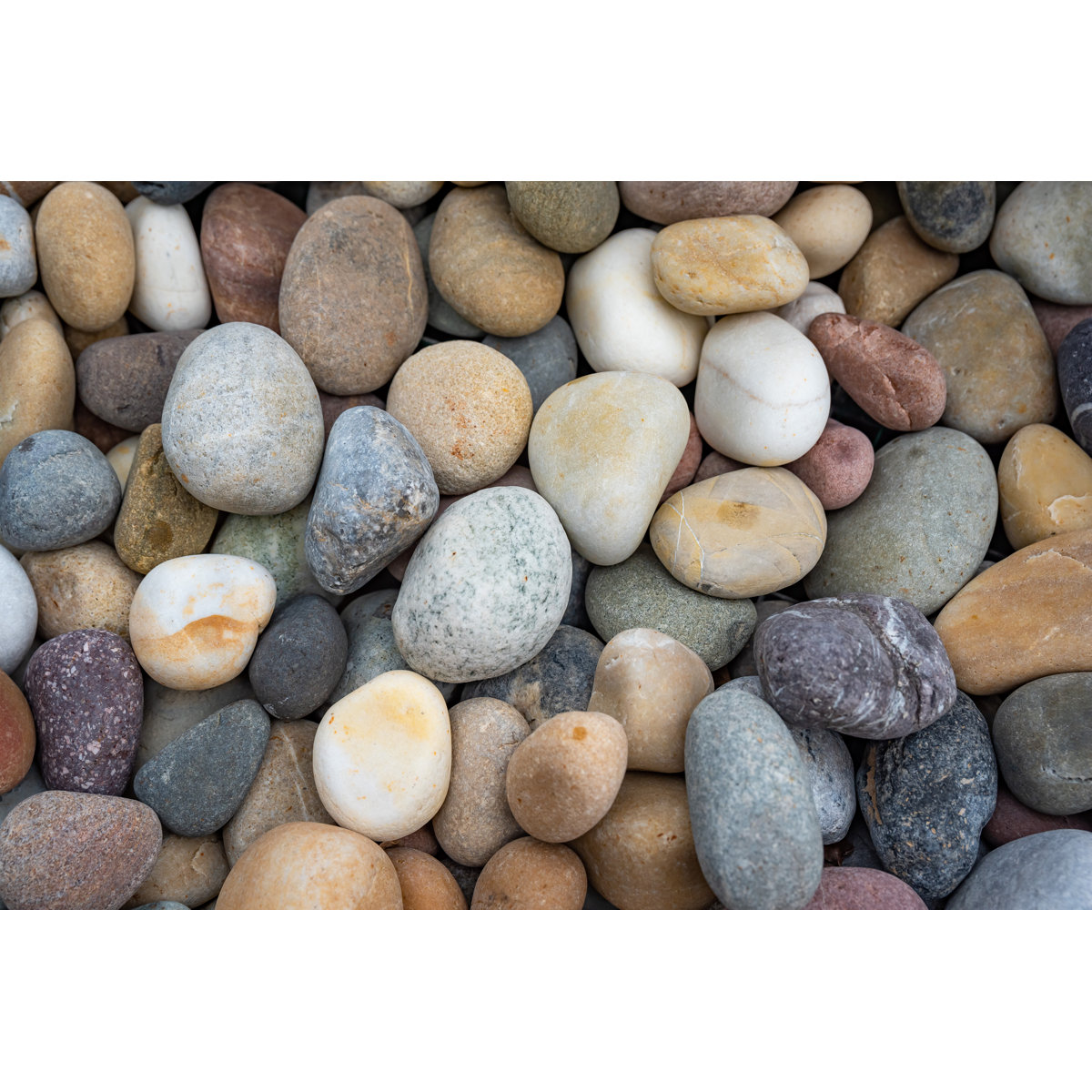 Dakota Fields Alcone Garden Stone & Reviews | Wayfair.co.uk