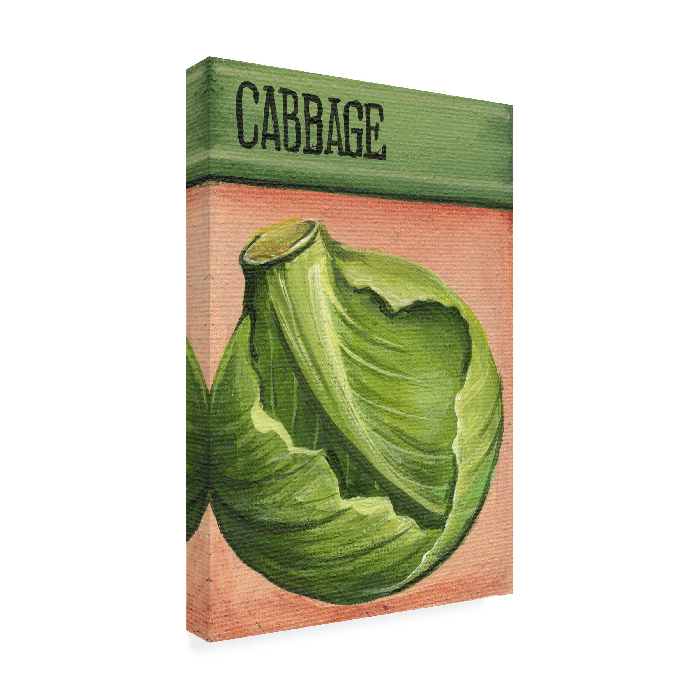 August Grove® Aguilard Seed Packets 29 - Cabbage On Canvas by Debbi ...