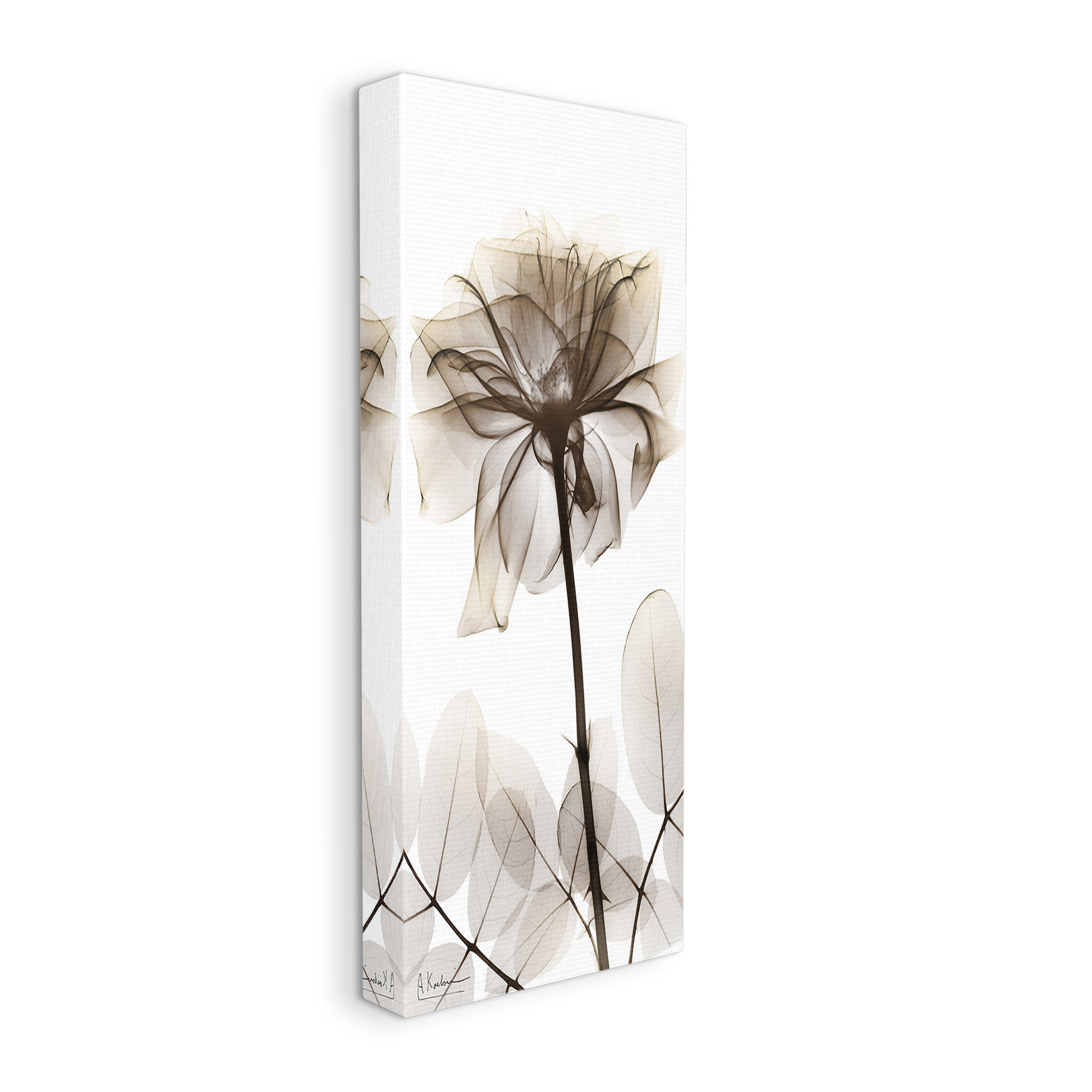 Ebern Designs " Blooming Opaque Flower " by Albert Koetsier on | Wayfair