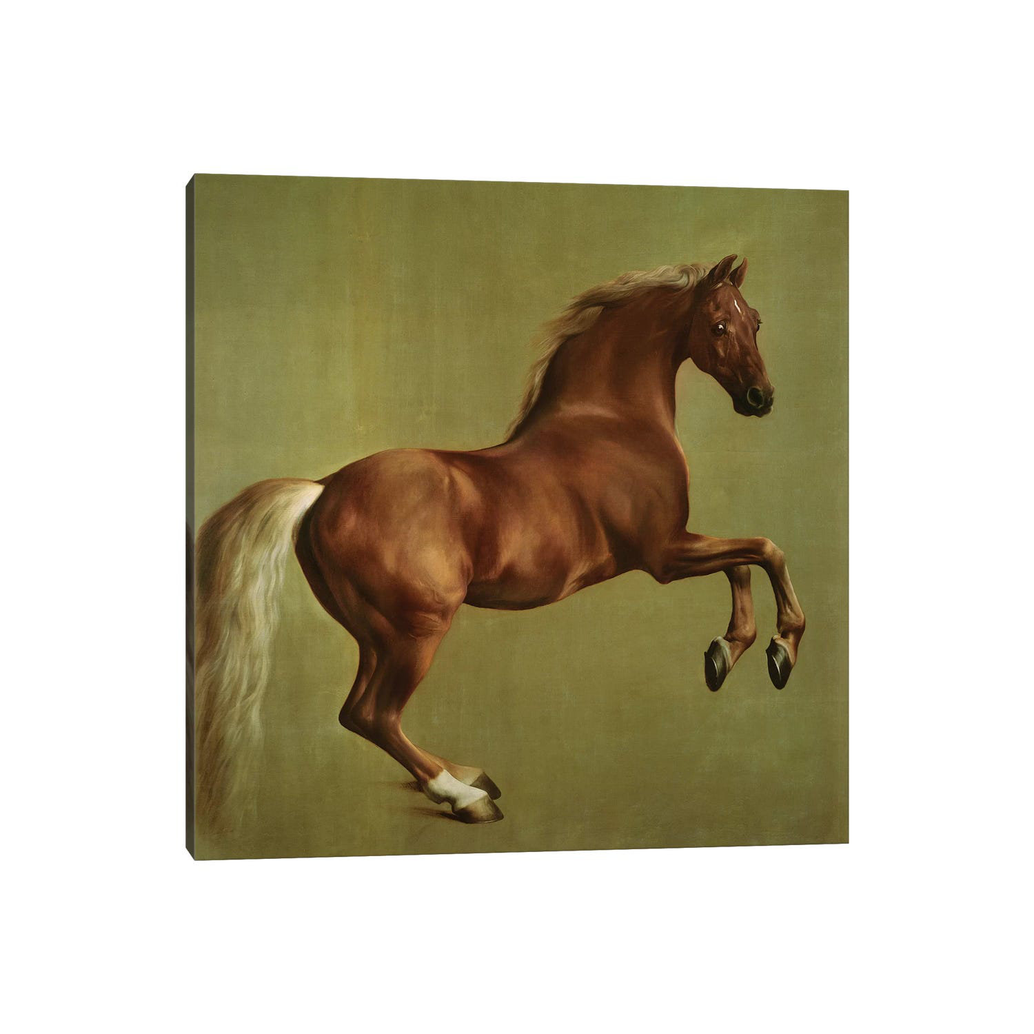 East Urban Home Whistlejacket, 1762 by George Stubbs - Wrapped Canvas ...