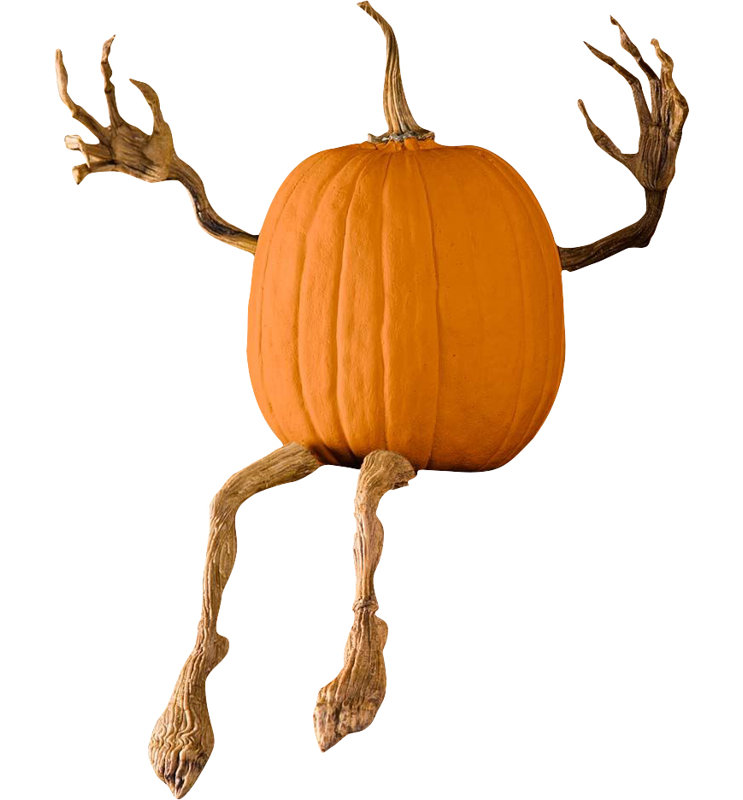 Plow & Hearth Posable Pumpkin Vine Arms and Legs Set, Includes 4 Pieces ...